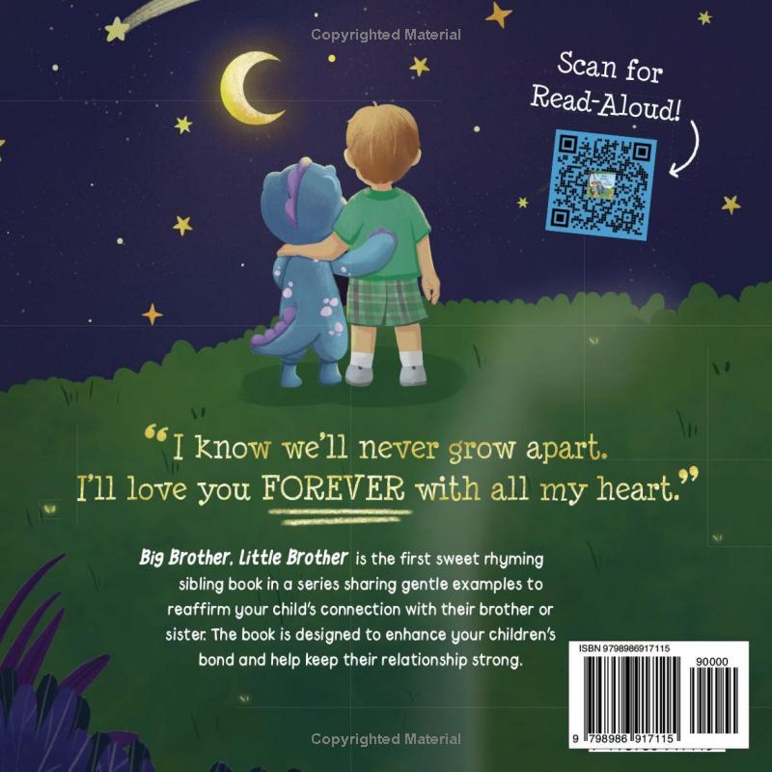 Big Brother, Little Brother Book - Etsy