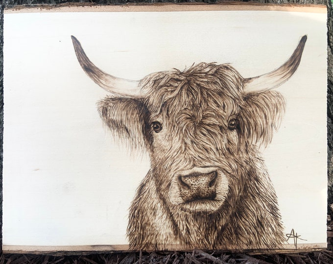 Hand Burned Highland Cow Wood Burning on Basswood With Bark. Pyrography ...