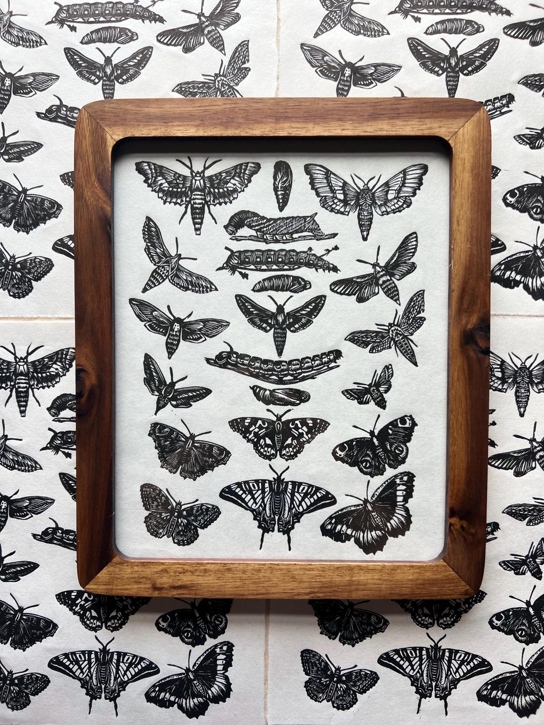 8x10 Butterfly Lino Print – Vintage Botanical Style Insects Art Print ...