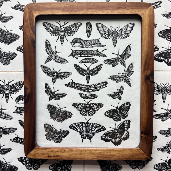 Butterfly 8x10 - Etsy