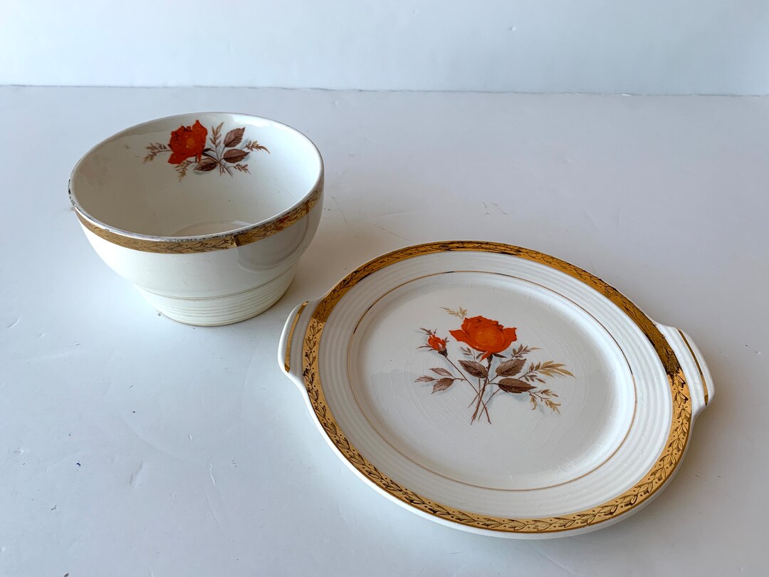American Limoges Triumph Vermillion Rose 5 Bowl and 8 Plate - Etsy