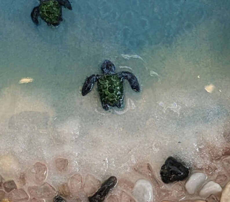 3D Turtle, Resin Encased Beach Scene - Etsy