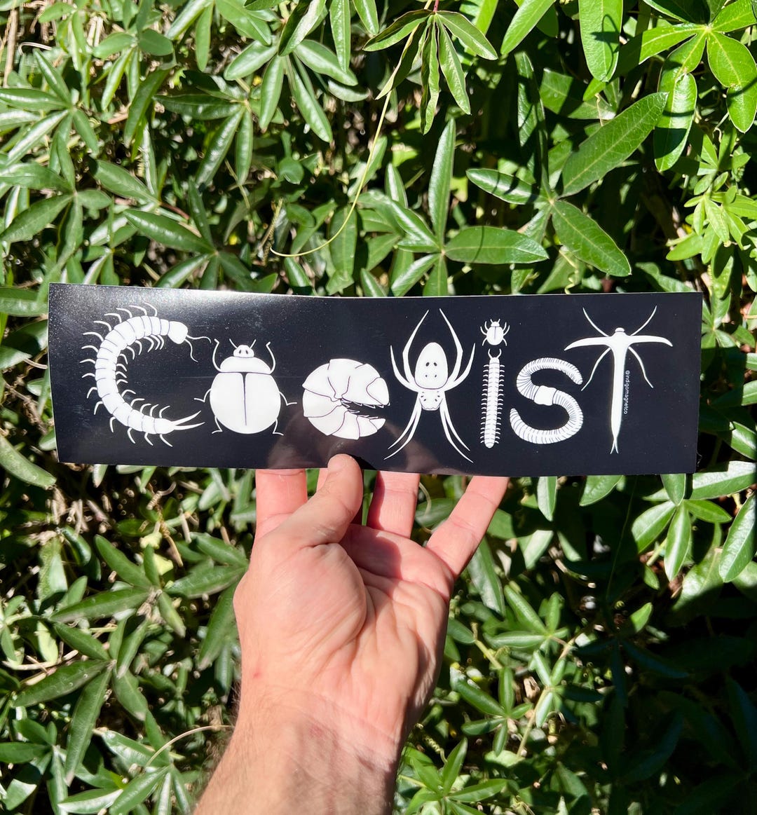 Coexist Bugs Bumper Sticker/magnet - Etsy