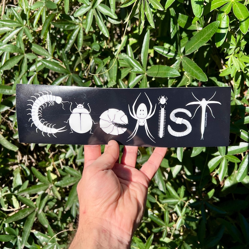 Coexist Sticker - Etsy