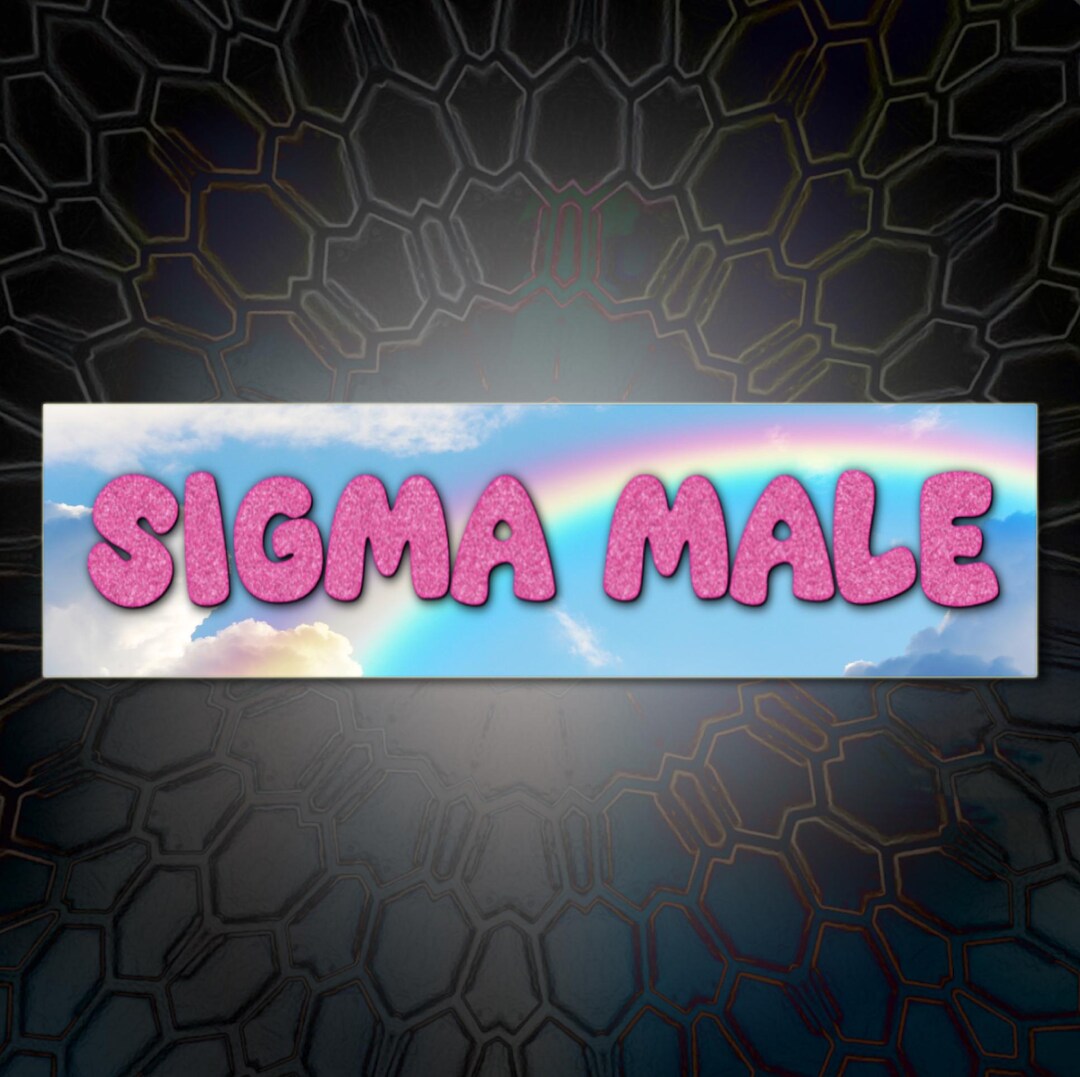 Sigma Male Rainbow Bumper Sticker - Etsy