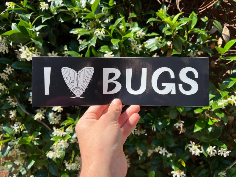 I Heart Bugs Moth Bumper Sticker/magnet - Etsy