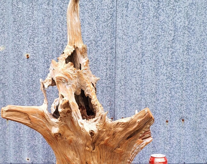 Large Cedar Stump Root Section, Rustic Decor or Planter - Free US ...