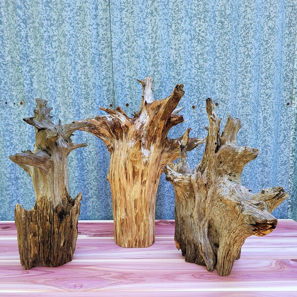 Stump - Etsy