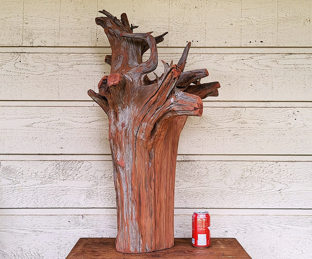 Large Cedar Root Section, Solid and Rustic Decor FREE US Shipping - Etsy