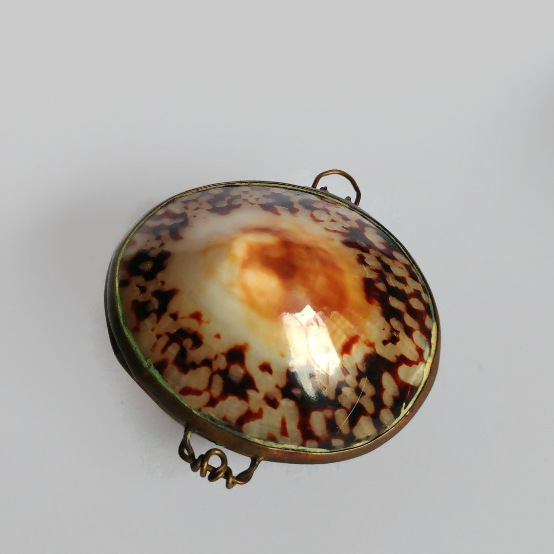 Vintage Pill Box Pendant Made of Sea Shell, Trinket Box, Collectible ...