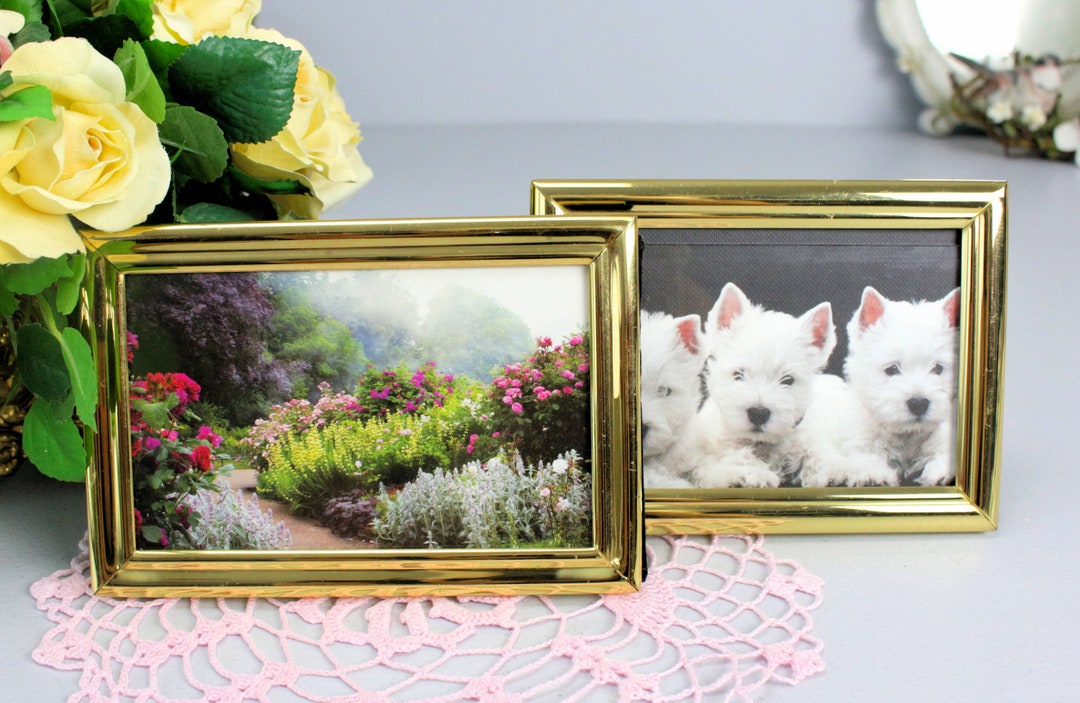 Vintage Gold Brass Picture Frames, Velvet Back, 4x6 Inches - Etsy