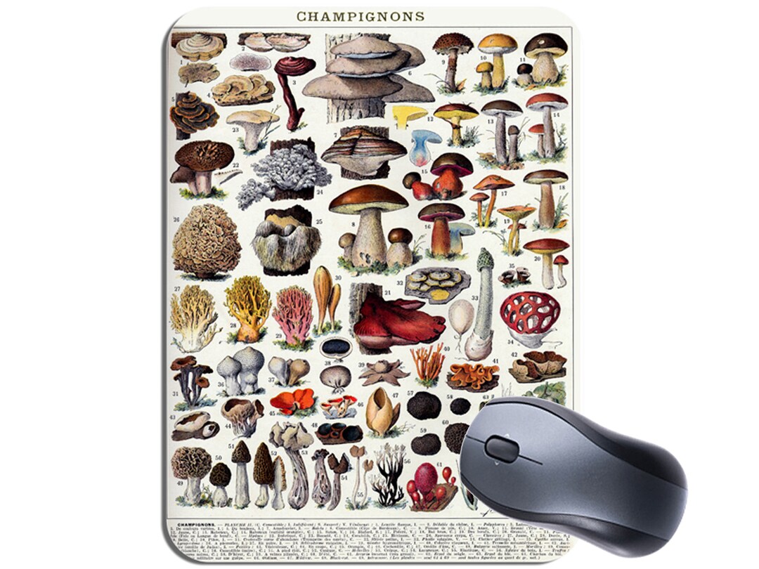 Adolphe Millot Mushroom Champignon Mouse Mat Mousepad B. Vintage French ...