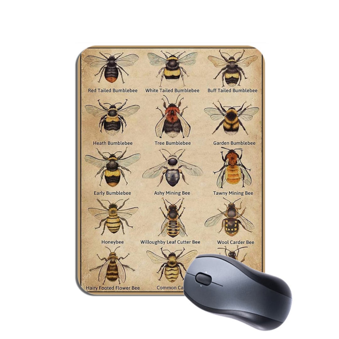 Types of Bee Vintage Chart Poster Mouse Mat Mousepad. Kinds of Bees ...