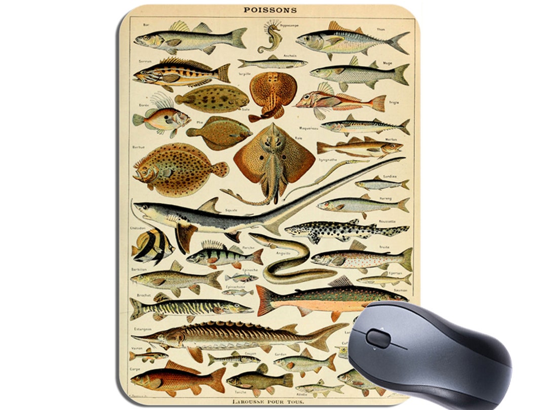 Adolphe Millot Poissons Pour Tous Mouse Mat Mousepad. Vintage Fish ...