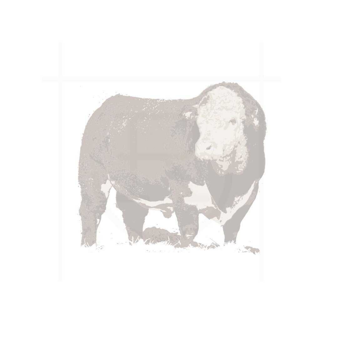 Commercial Use Vintage Hereford Bull Graphic // Livestock Clipart ...