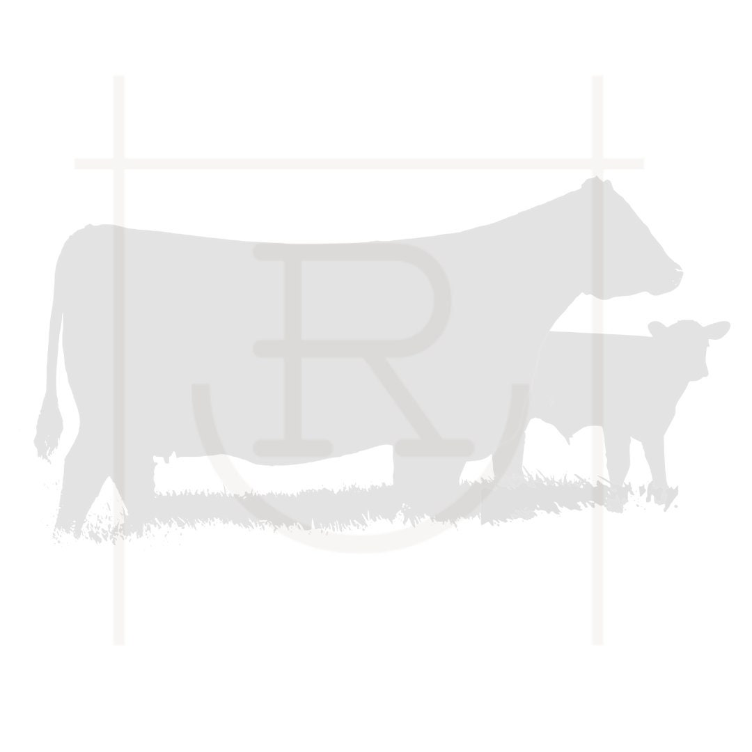 Personal Use Cow Calf Pair Graphic // Ranch Clipart // Cattle SVG ...