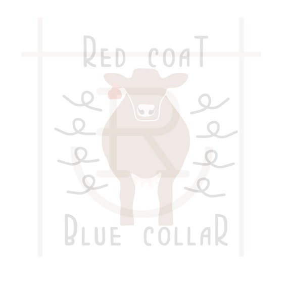 Red Angus Cattle Clipart