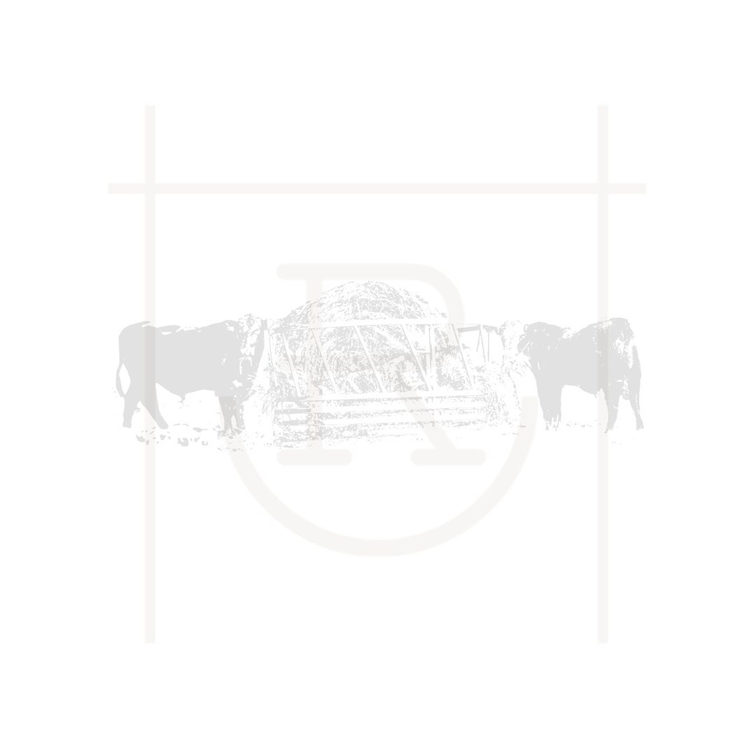 Commercial Use Cows at Hay Ring Graphic // Hay Season // Feeding Hay ...