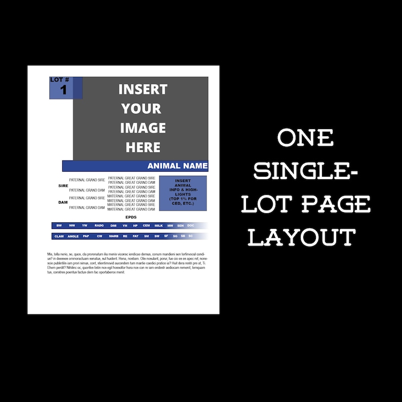 Bull Sale Catalog Indesign Template // Cattle Sale // Bull & Female ...