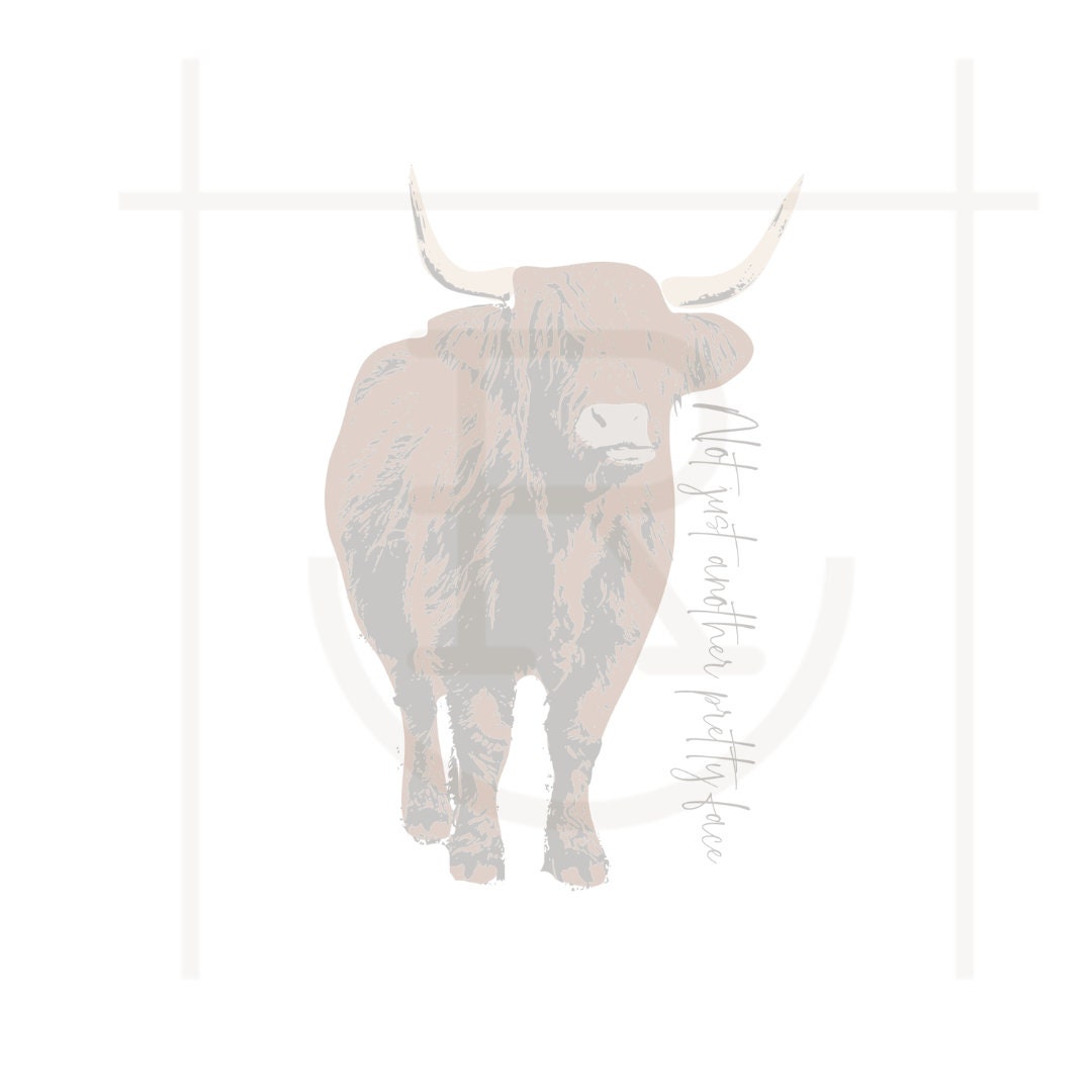 Commercial Use Colored Not Just Another Pretty Face Graphic // PNG ...