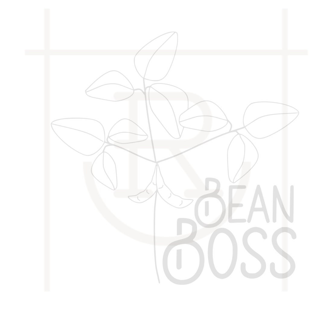 Commercial Use Bean Boss Cut File // Farm Graphic // Harvest Graphic ...