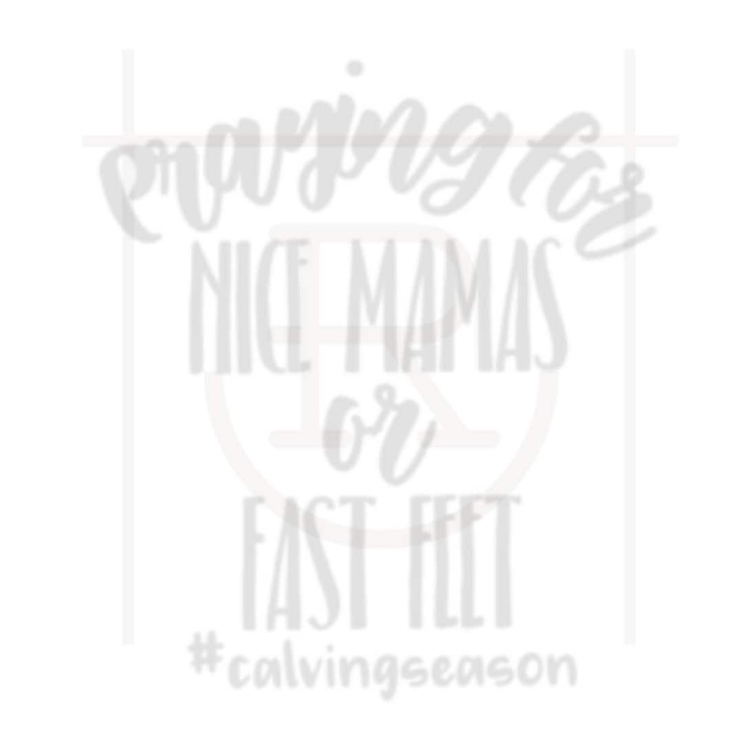 Calving Season Graphic // Calf Tagging // Spring Calving // SVG // PNG ...