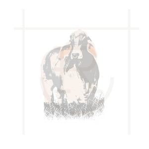 Commercial Use Brahma Graphic // Brahman Cattle // PNG // SVG ...