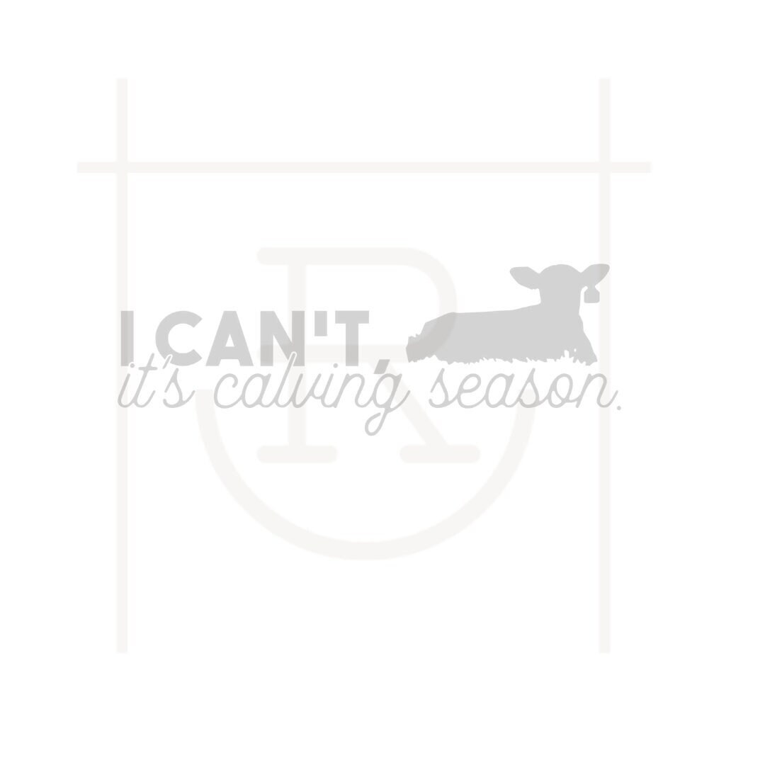 Personal Use I Can't, It's Calving Season Graphic // Baby Calf ...