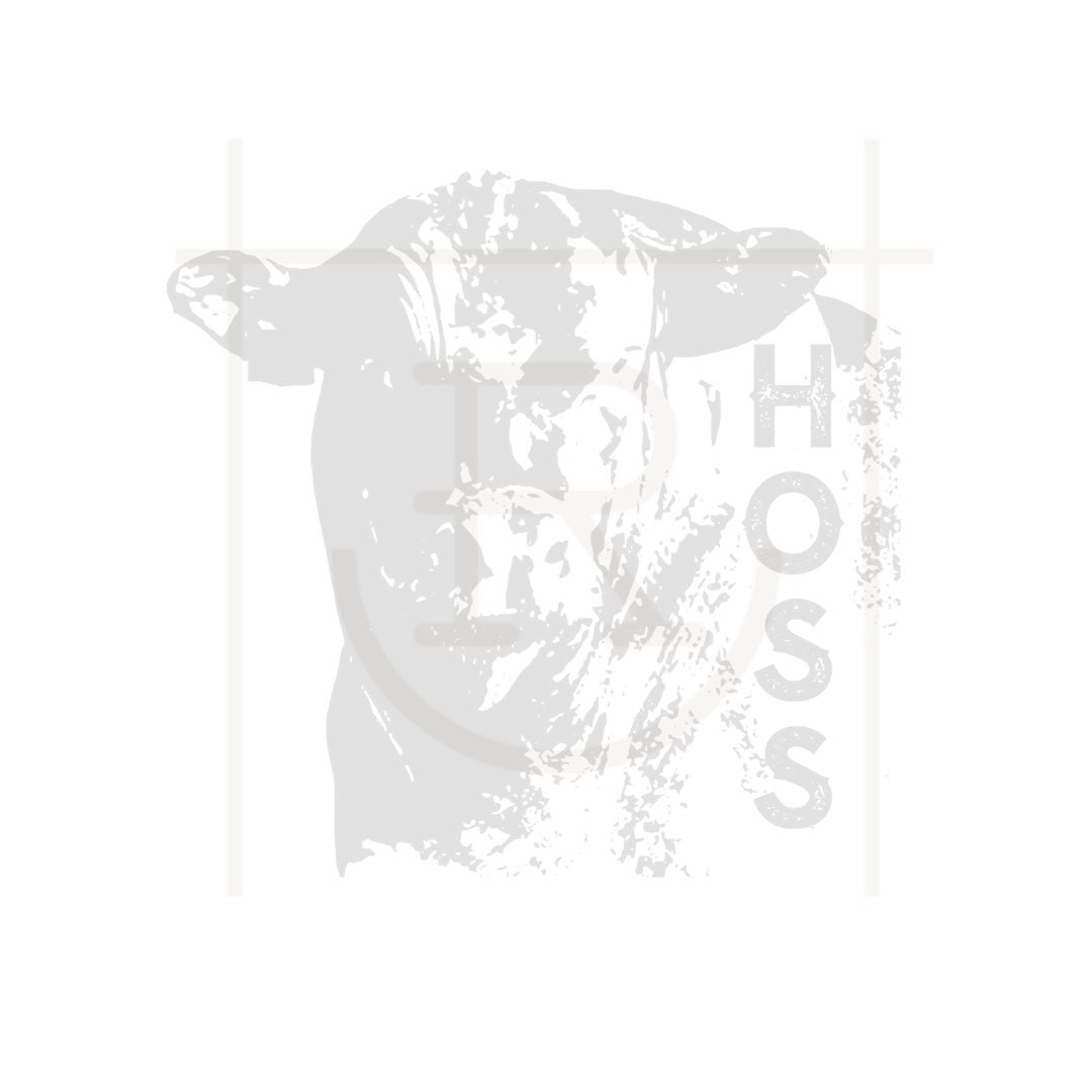 Personal Use Hoss Bull Graphic // Cattle SVG // DXF // PNG // Instant ...
