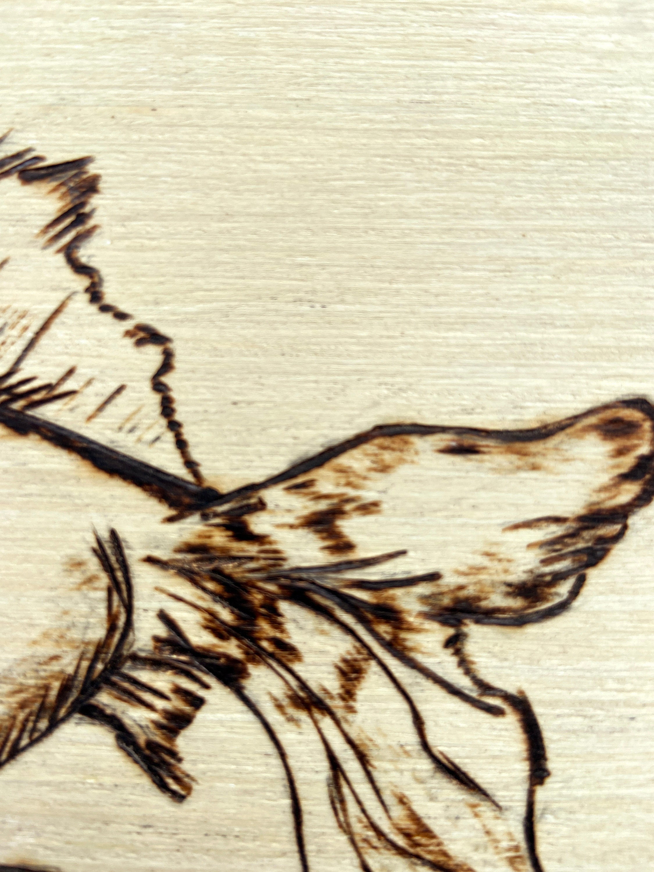 Wood Burn Art, Wood Burn Wall Decor, Wood Burn Nature, Wood Burn Fish ...