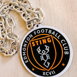 BIG CHAIN Sports Logo Necklace, Turn Over Chain, Player of the Game ...