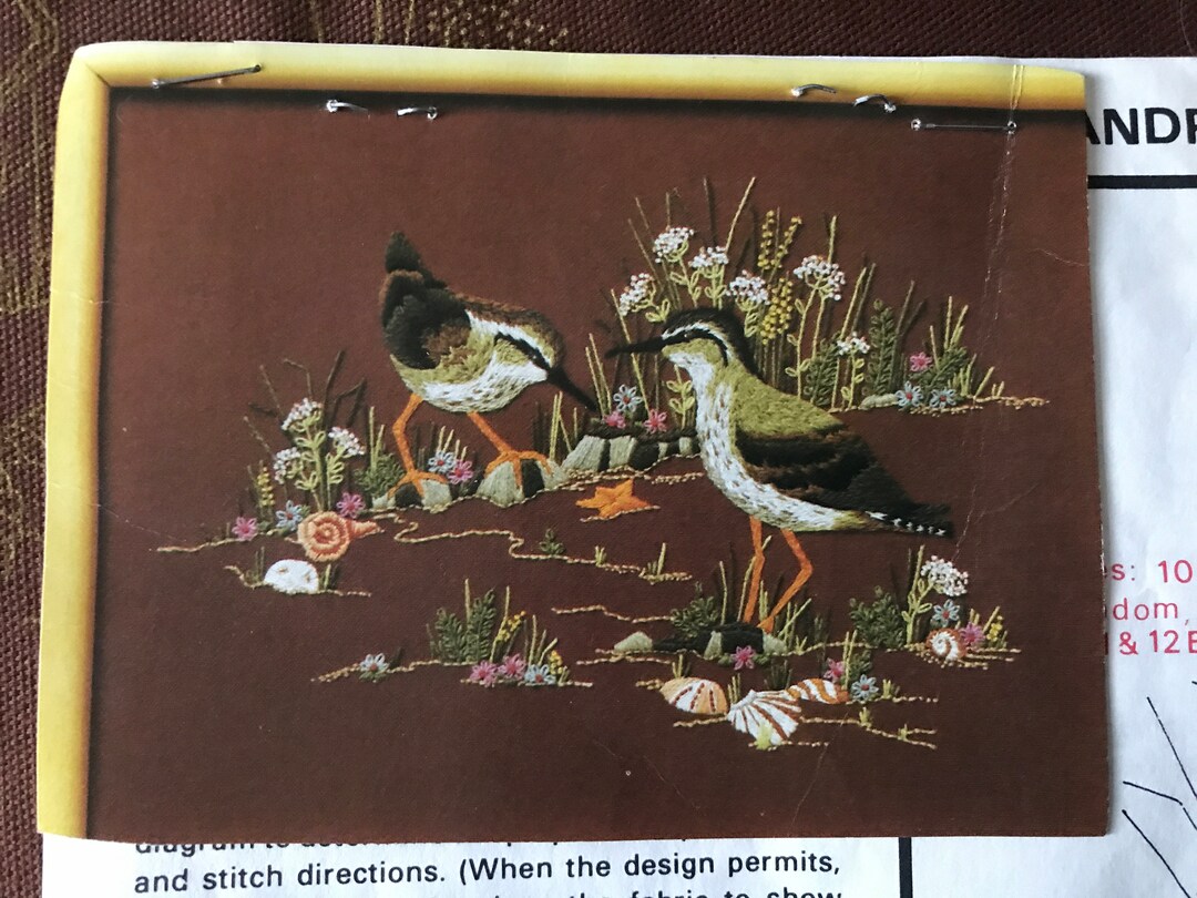 Vintage Embroidery Kit preowned Great Condition. Stamped Design of ...
