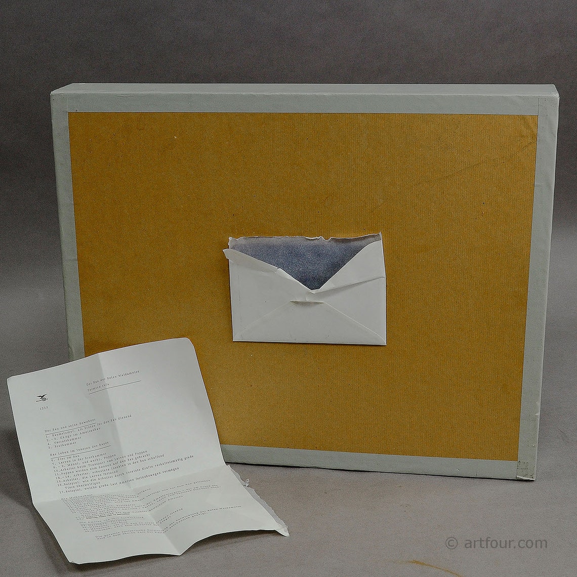 School Teaching Display Anthill of the Red Wood Ant - Etsy