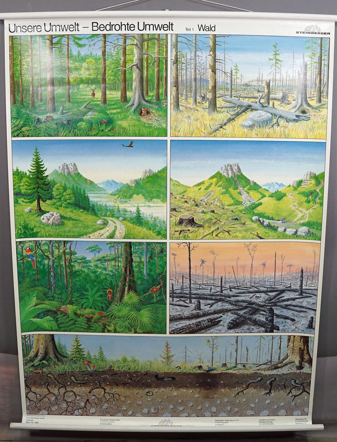 Vintage Mural Wall Chart Our Environment Threatened Environment the ...