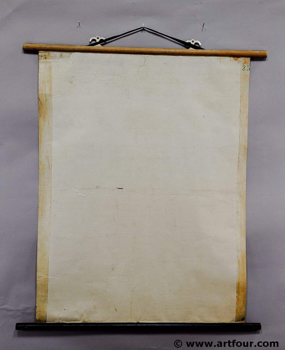 Antique Pull-down Wall Chart Scenery With Hedgehogs Anatomical - Etsy