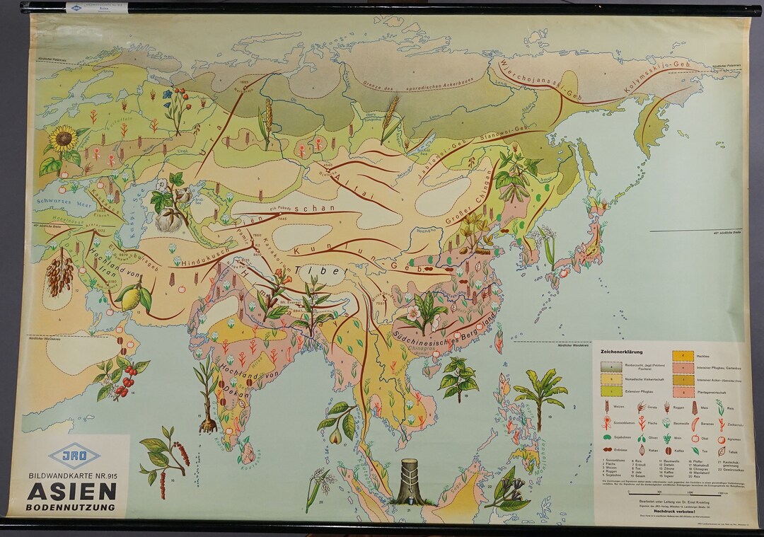 Vintage Mural Pull-down Poster Map Asia Land Use Wall Chart Picture - Etsy