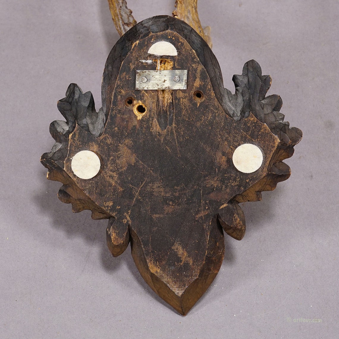 Great Roe Deer Trophy Mount on Wooden Carved Plaque Ca. 1946 - Etsy