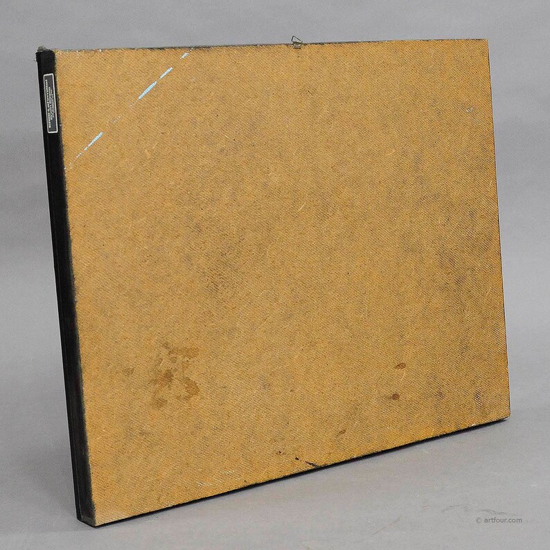 School Teaching Display Anthill of the Horse Ant - Etsy