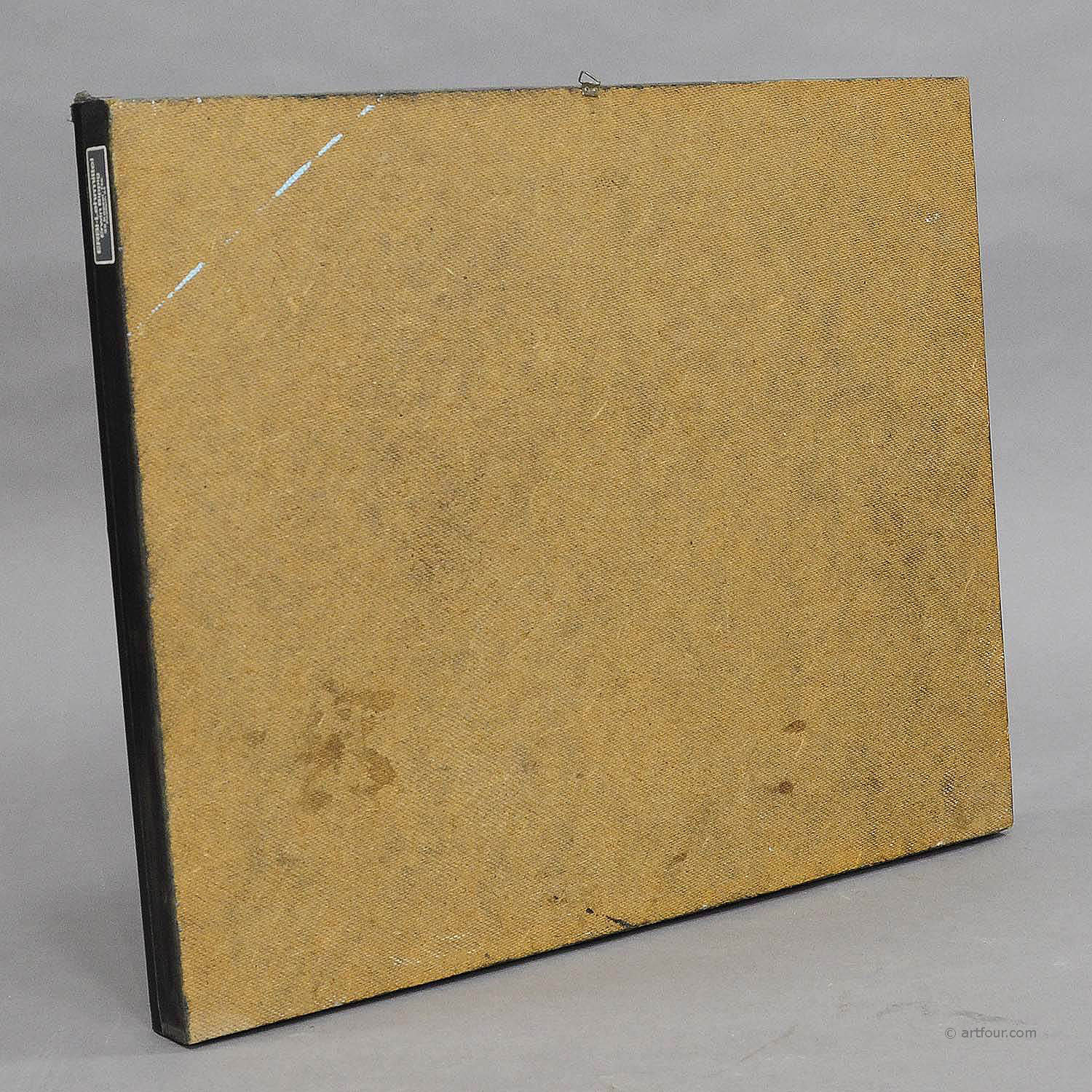 School Teaching Display Anthill of the Horse Ant - Etsy