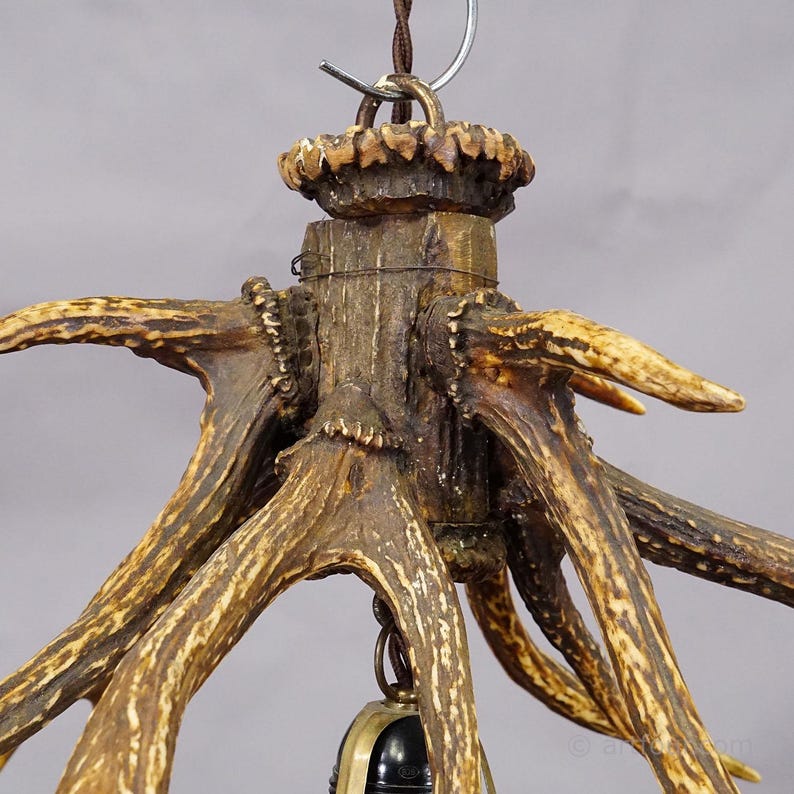 Rustic Black Forest Ceiling Lamp With Deer Antlers 1920s - Etsy