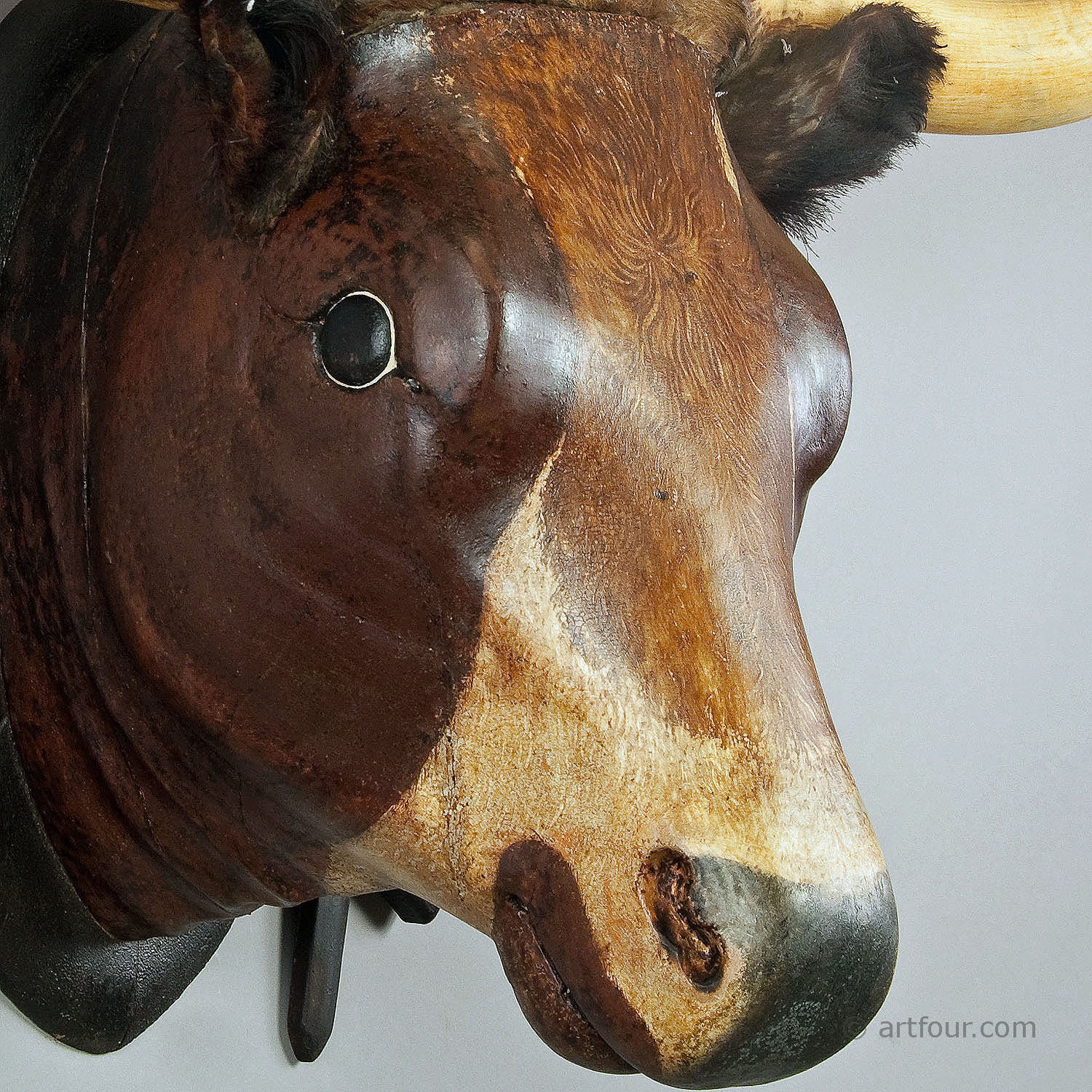Very Large Wooden Carved Bull Head From a Butchery Ca. 1880 - Etsy