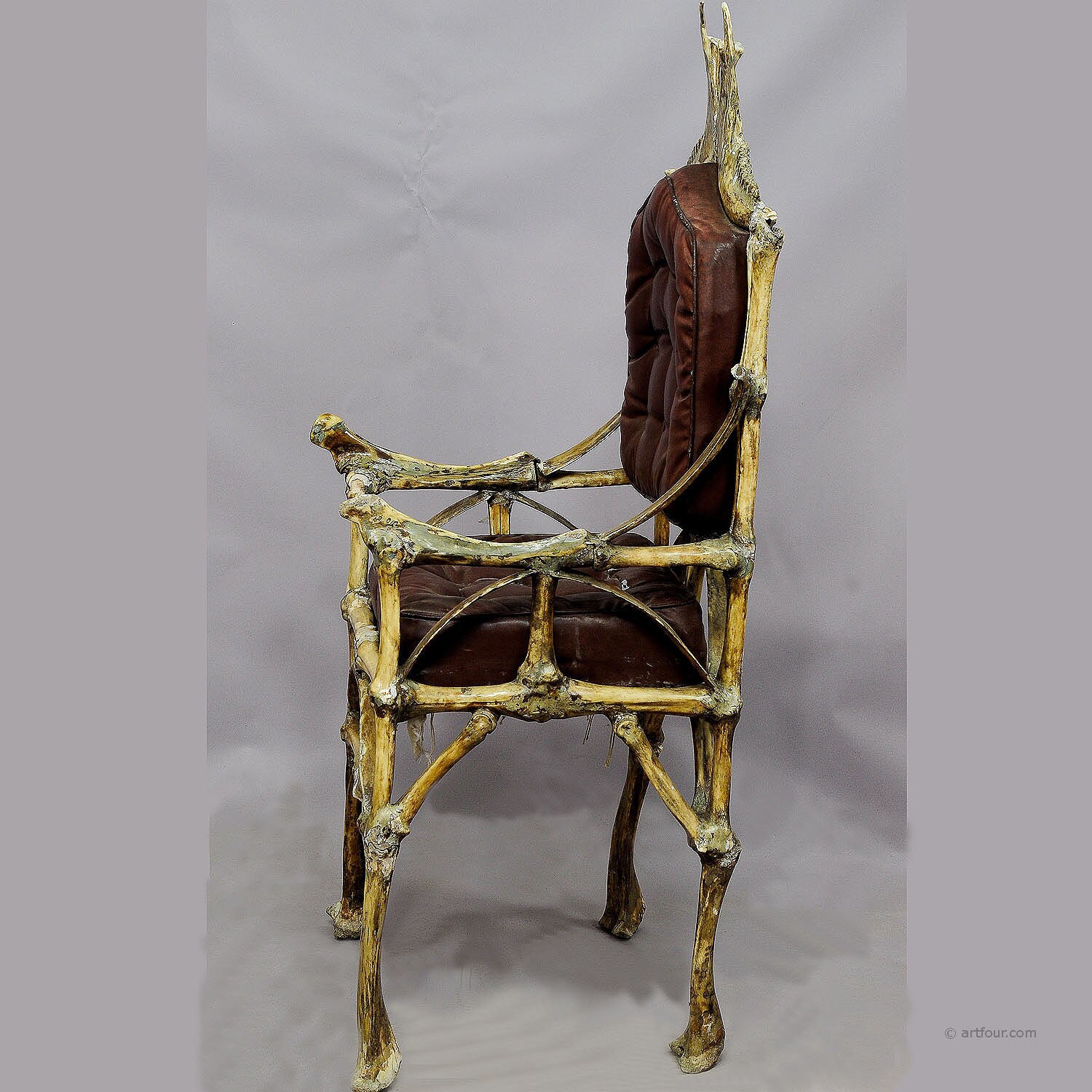 Large Wacky Bull Bone Throne Chair Ca. 1930 - Etsy