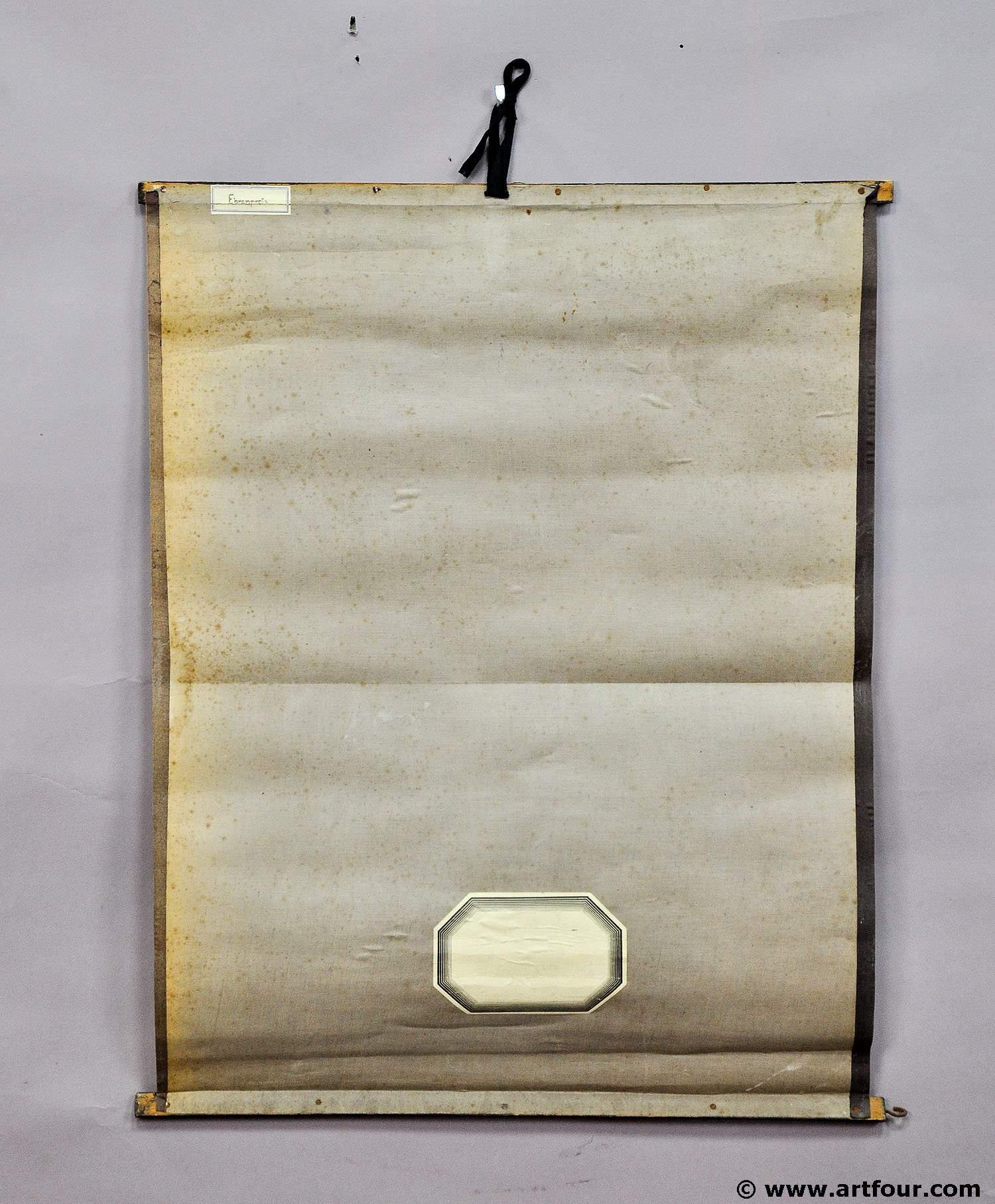 Antique Pull-down Wall Chart Image Life Cycle of the Speedwell Flora ...