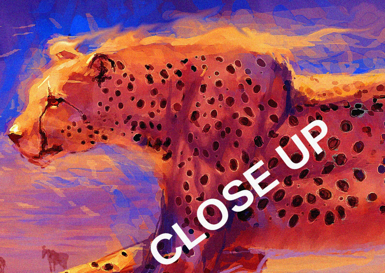 Cheetah Animal Art Safari Animal Poster Big Cat Poster - Etsy