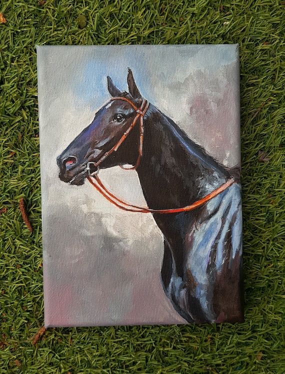 Professional Horse Face Photography