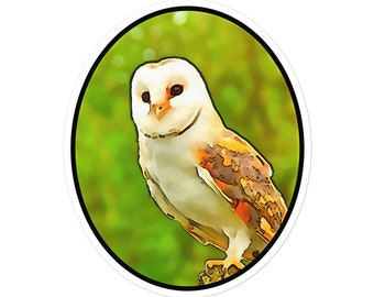 Barn Owl Sticker - Etsy