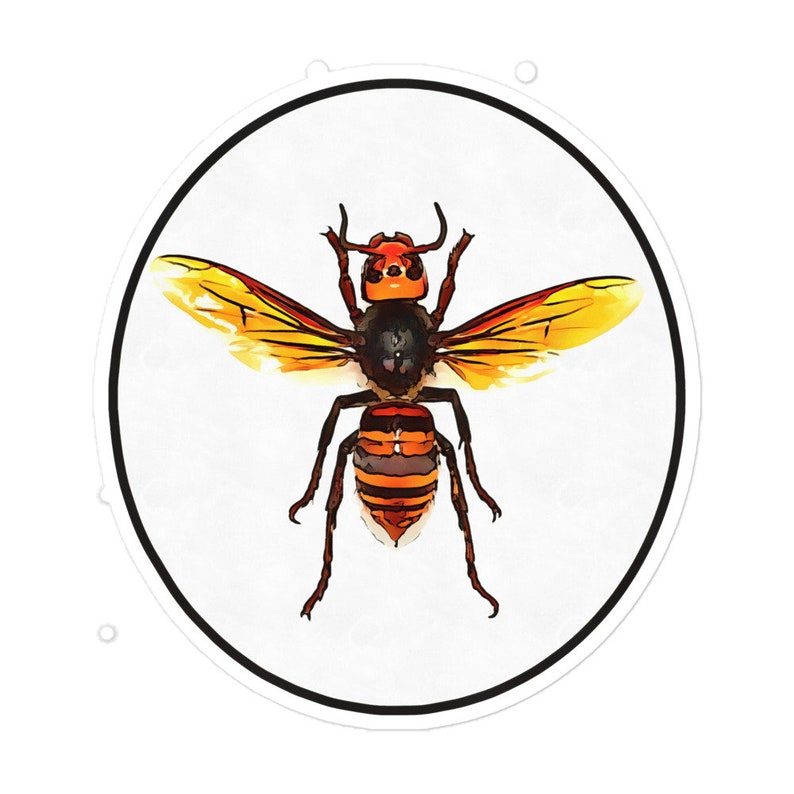 Wasp Sticker - Etsy