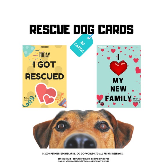 RESCUE DOGS MILESTONE Cards Digital Downloads self - Etsy