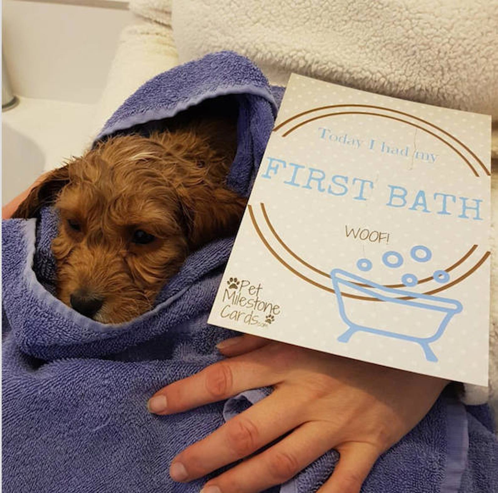 PUPPY MILESTONE CARDS (20)- Digital Download (self Printing) - Etsy