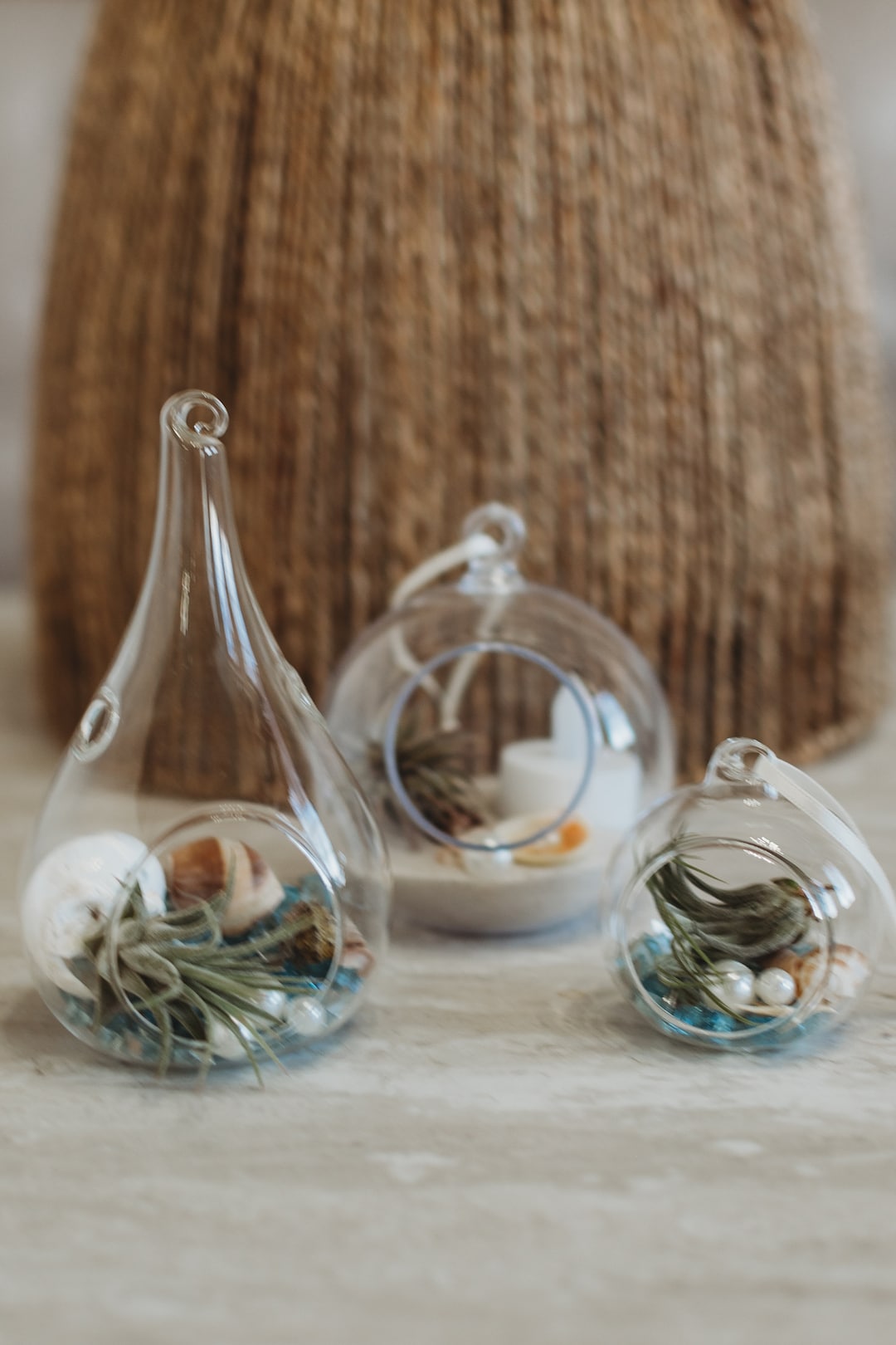 DIY Lake Michigan Air Plant Terrarium Kit: Build Your Own Beach Home ...